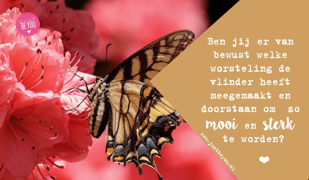 Je Geeft Me Vlinders