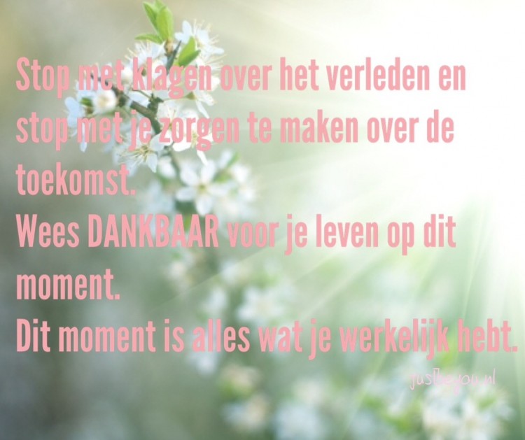 Dankbaarheid is de kortste weg naar geluk - Just Be You