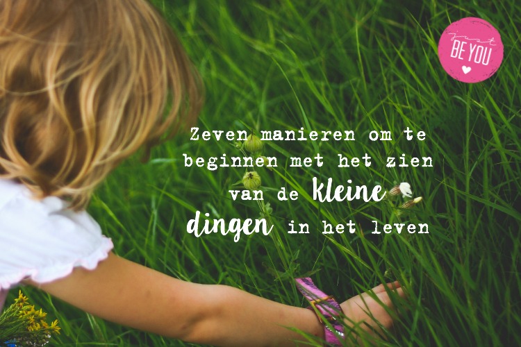Zeven manieren om te beginnen met het zien van de kleine dingen in het ... Zeven manieren om te beginnen met het zien van de kleine dingen in het ...